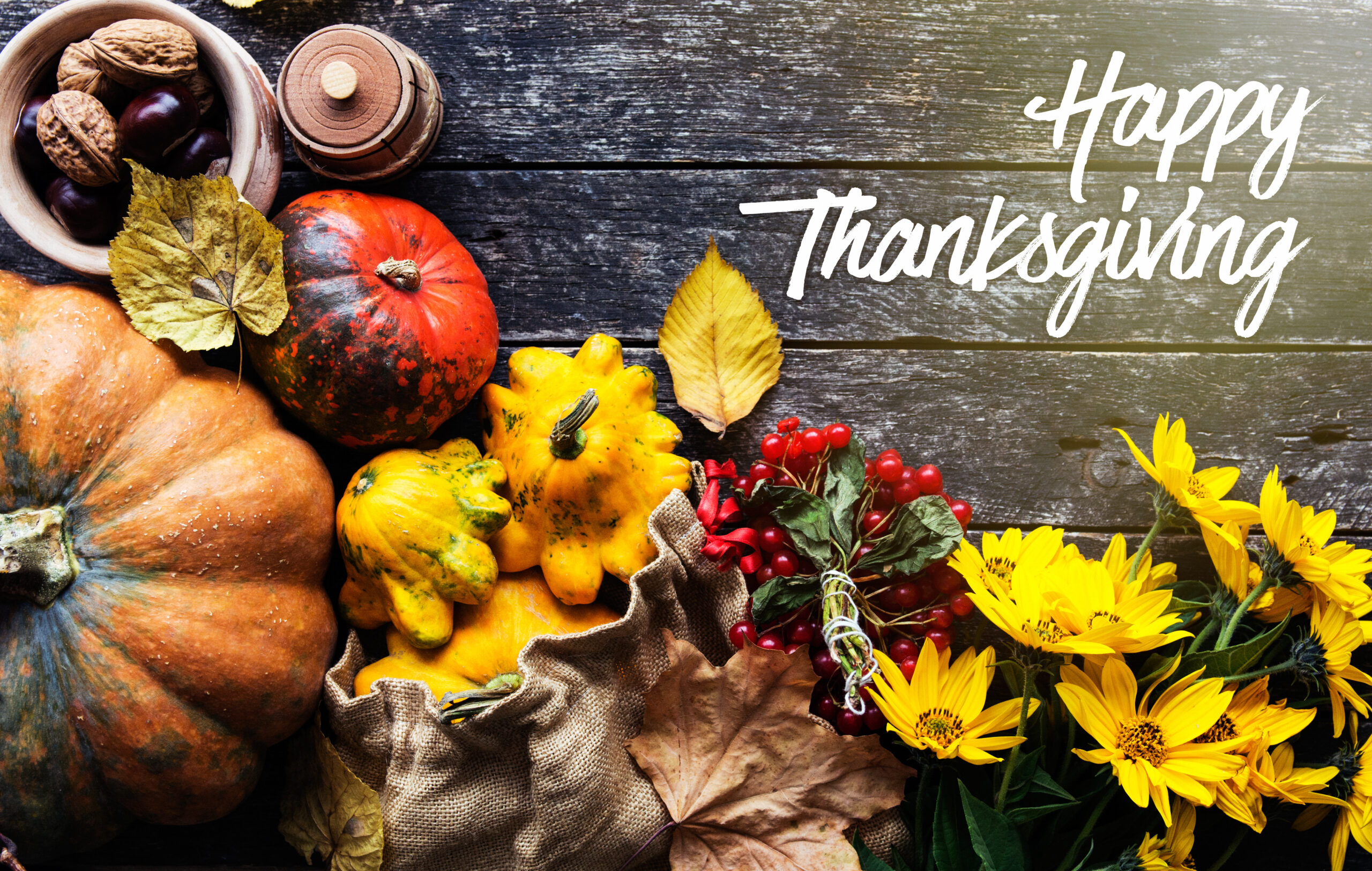 Happy Thanksgiving to the Tungsten Powder Market - Buffalo Tungsten